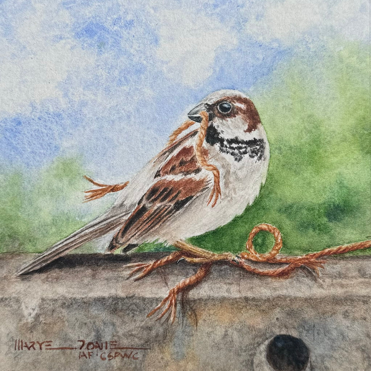 A Visit to the Yarn Shop– 14 Bells Fine Art Gallery