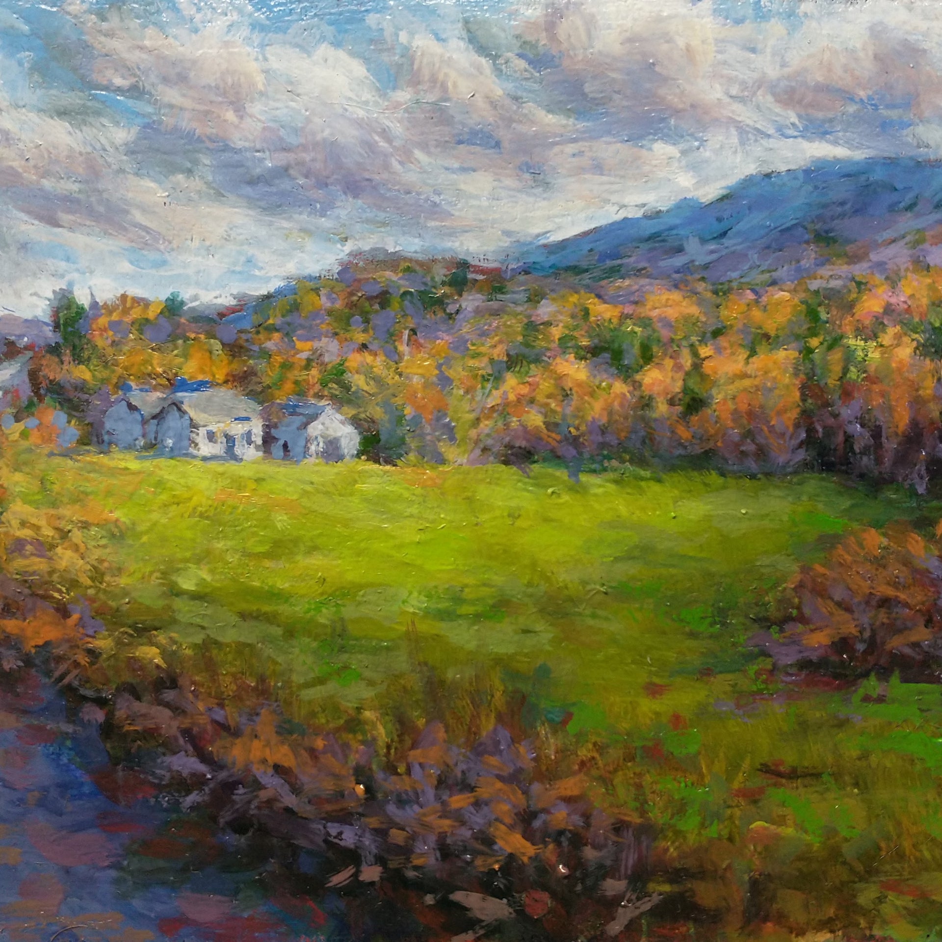 Artist Collections– 14 Bells Fine Art Gallery