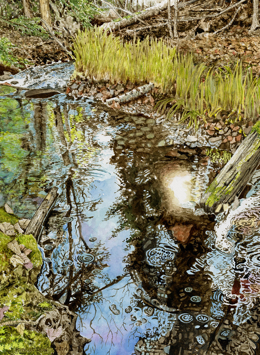 Reflecting Stream, Cabot Trail– 14 Bells Fine Art Gallery