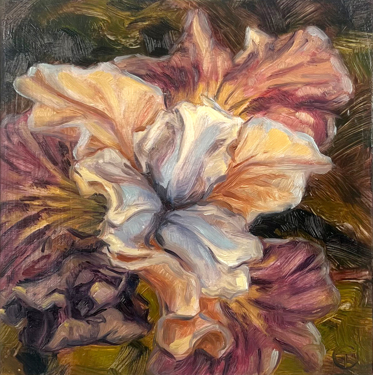 Ruffled Iris– 14 Bells Fine Art Gallery