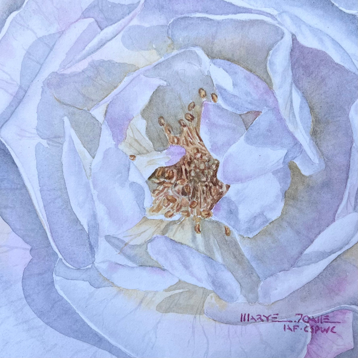 English Rose #2– 14 Bells Fine Art Gallery