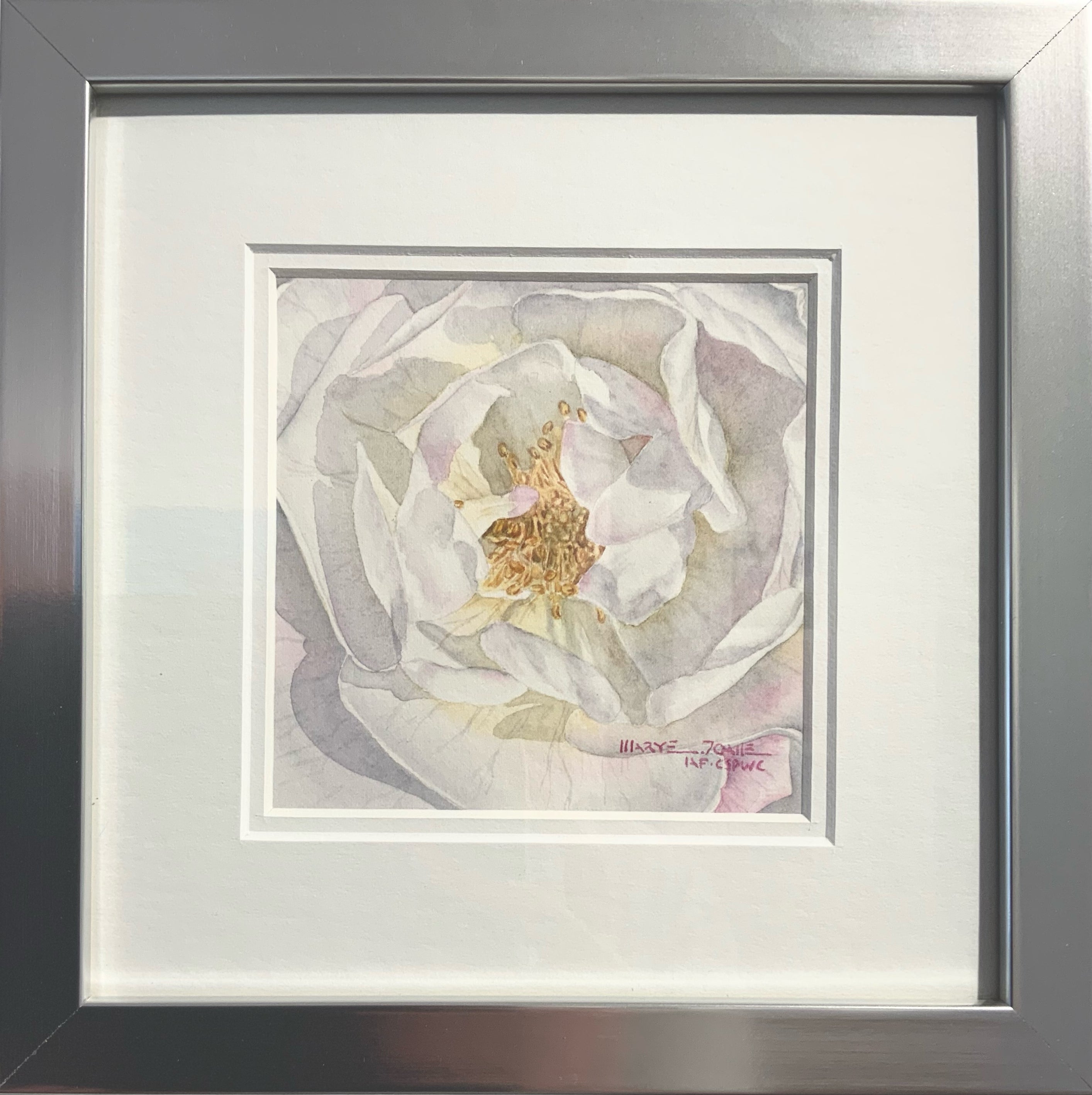 English Rose #2– 14 Bells Fine Art Gallery